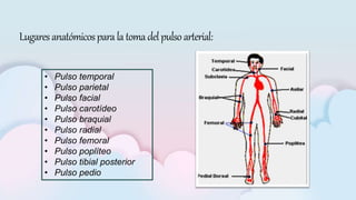 Signos vitales.pptx