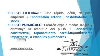 SIGNOS Vitales valores normales para adultos en enfermería | PPTX