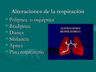 Signos vitales 1 QUINTANA | PPT