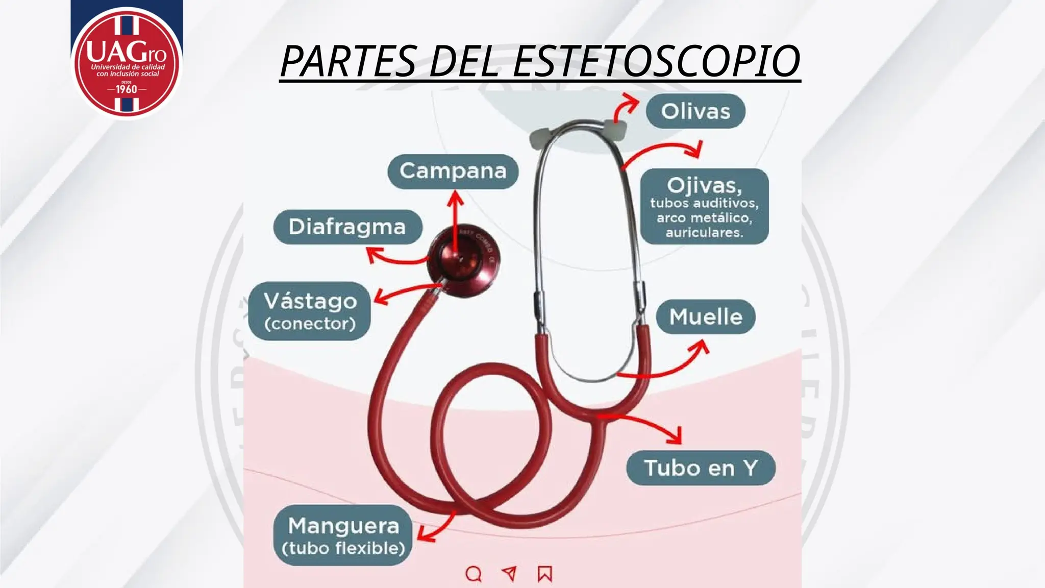 SIGNOS VITALES APARATOS medicina practicas.pptx