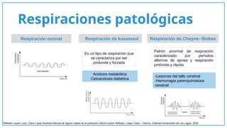 SIGNOS VITALES PEDIATRIA LMZS medicinaped | PPTX