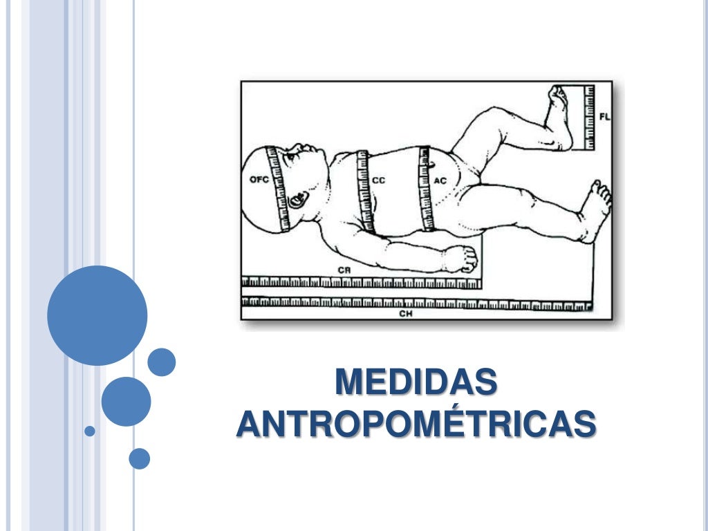 O Que São Medidas Antropométricas - RETOEDU