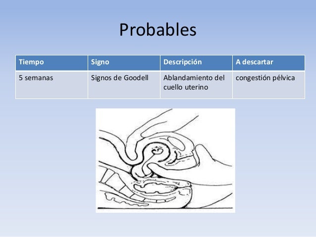 Signos y diagnostico del embarazo