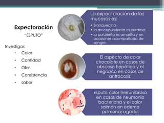 Signos y sintomas respiratorios | PPTX