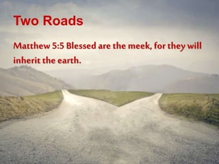 Signposts Along 2 Roads - Meekness | PPTX