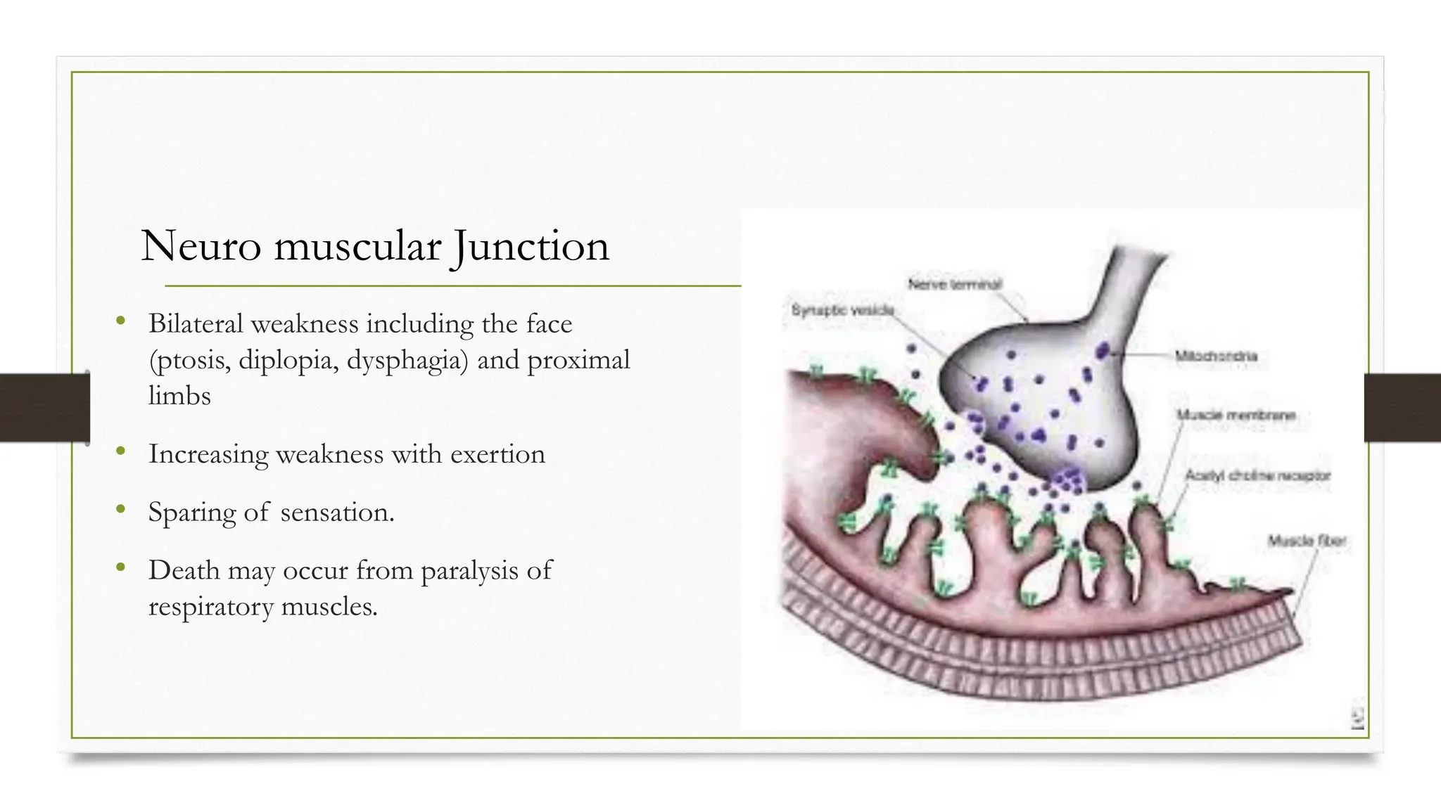 Signs and symptoms of neurological diseases new(0).pdf