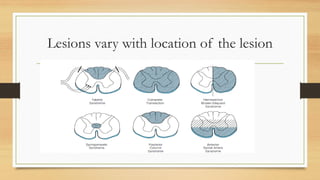Signs and symptoms of neurological diseases new(0).pdf