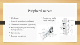 Signs and symptoms of neurological diseases new(0).pdf