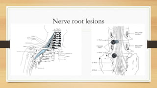 Signs and symptoms of neurological diseases new(0).pdf