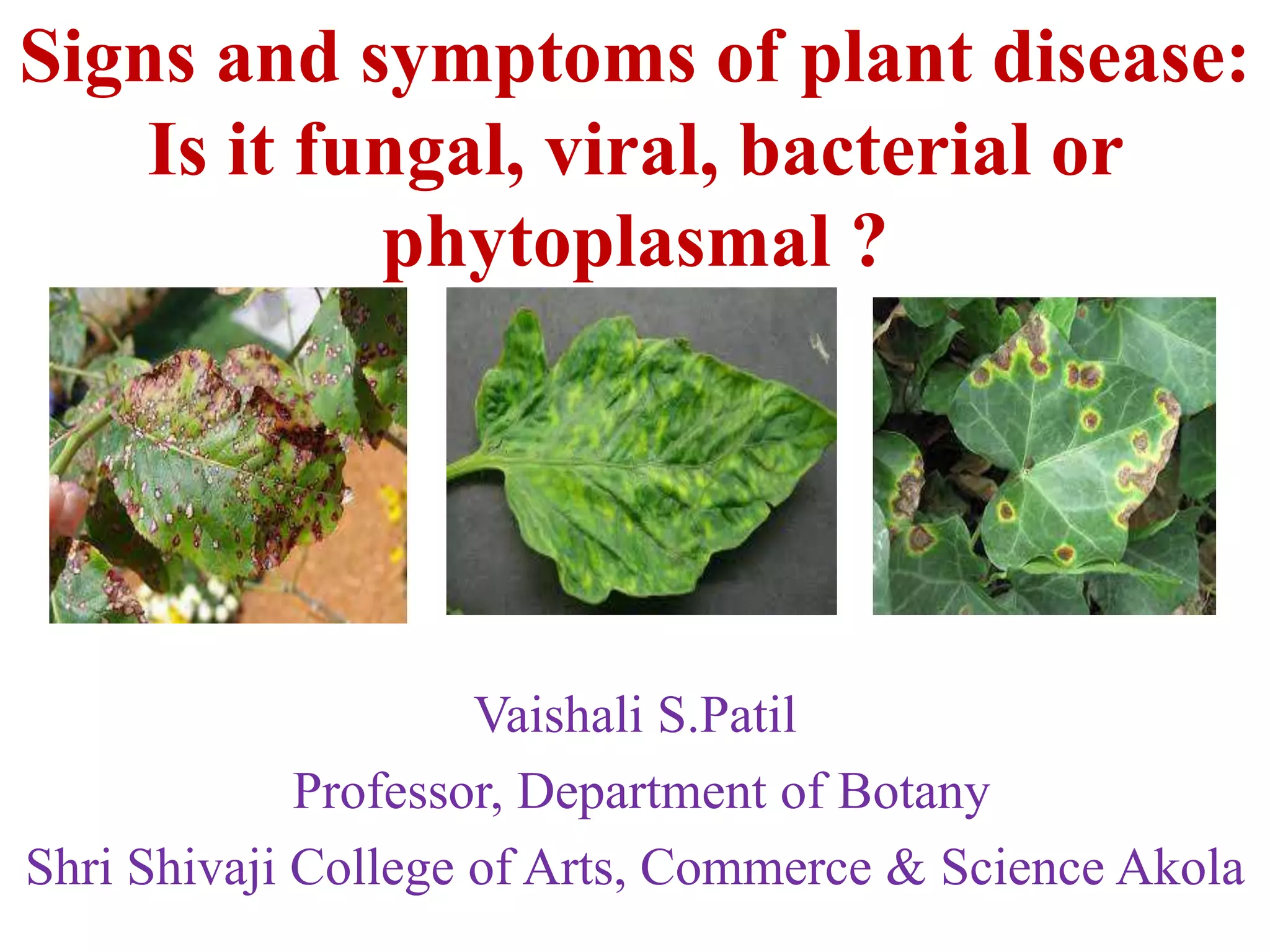 Signs and symptoms of plant disease | PPTX
