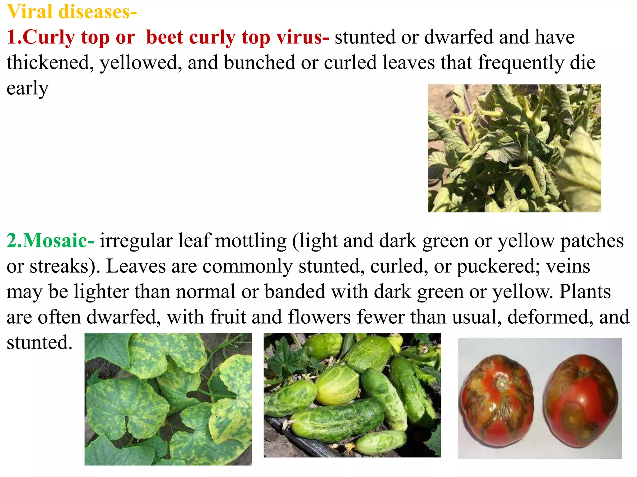 Signs and symptoms of plant disease | PPTX