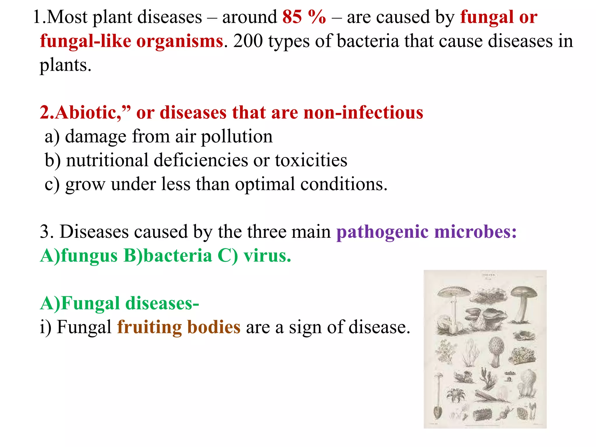 Signs and symptoms of plant disease | PPTX