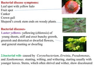 Signs and symptoms of plant disease | PPTX
