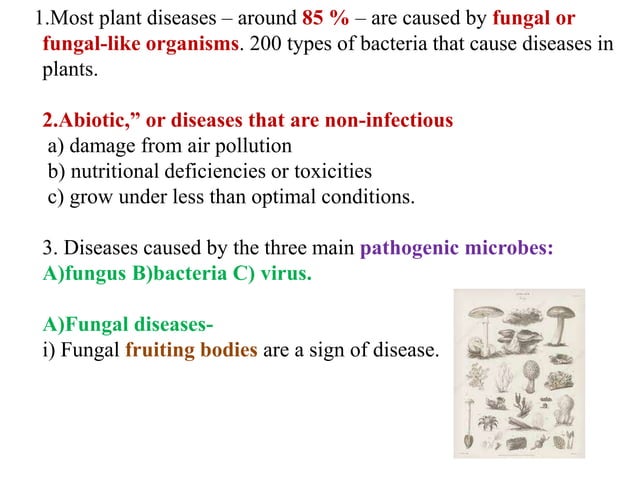 Signs and symptoms of plant disease | PPTX