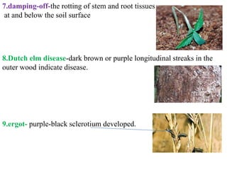 Signs and symptoms of plant disease | PPTX