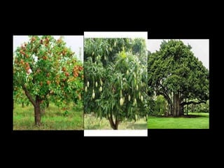 Sign, Signifier and Signified by Saussure II Course in General ...