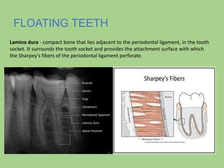 SIGNS IN EOSINOPHILIC GRANULOMA 23.03.24.pptx