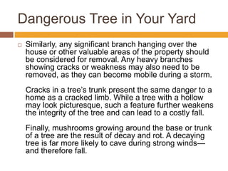 Signs of a Dangerous Tree in Your Yard | PPTX