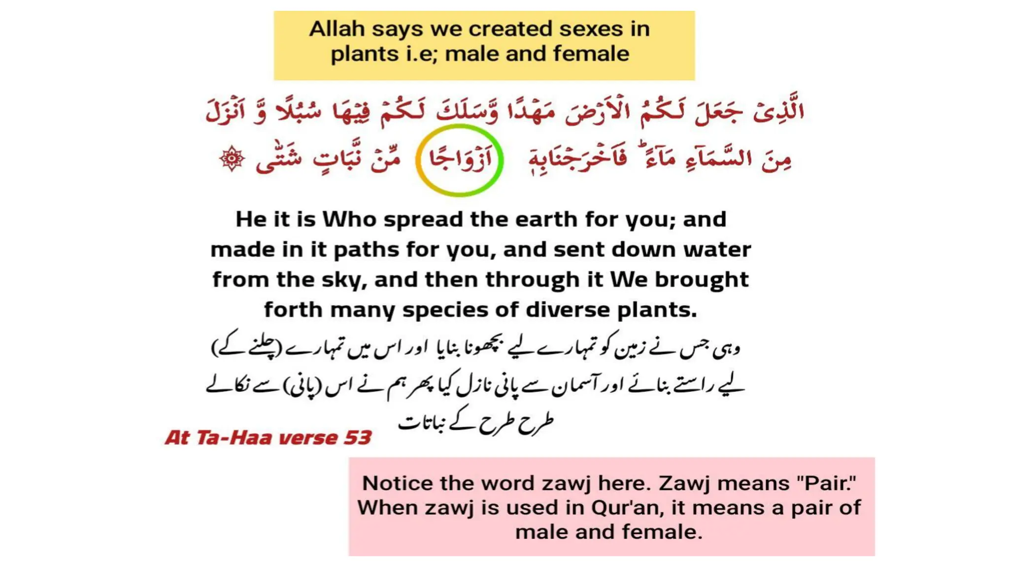 Signs of Allah detailed scientific evidences.pdf