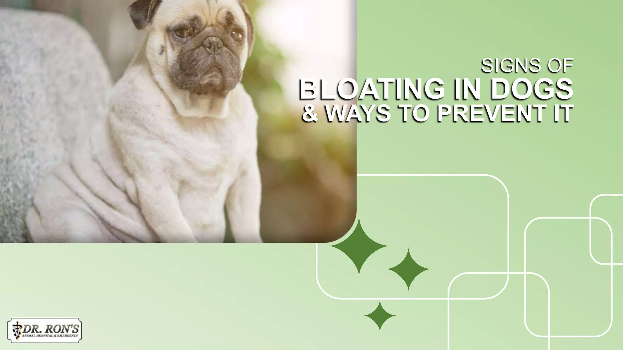 Signs of Bloating in Dogs & Ways to Prevent it | PPTX | Digestive ...
