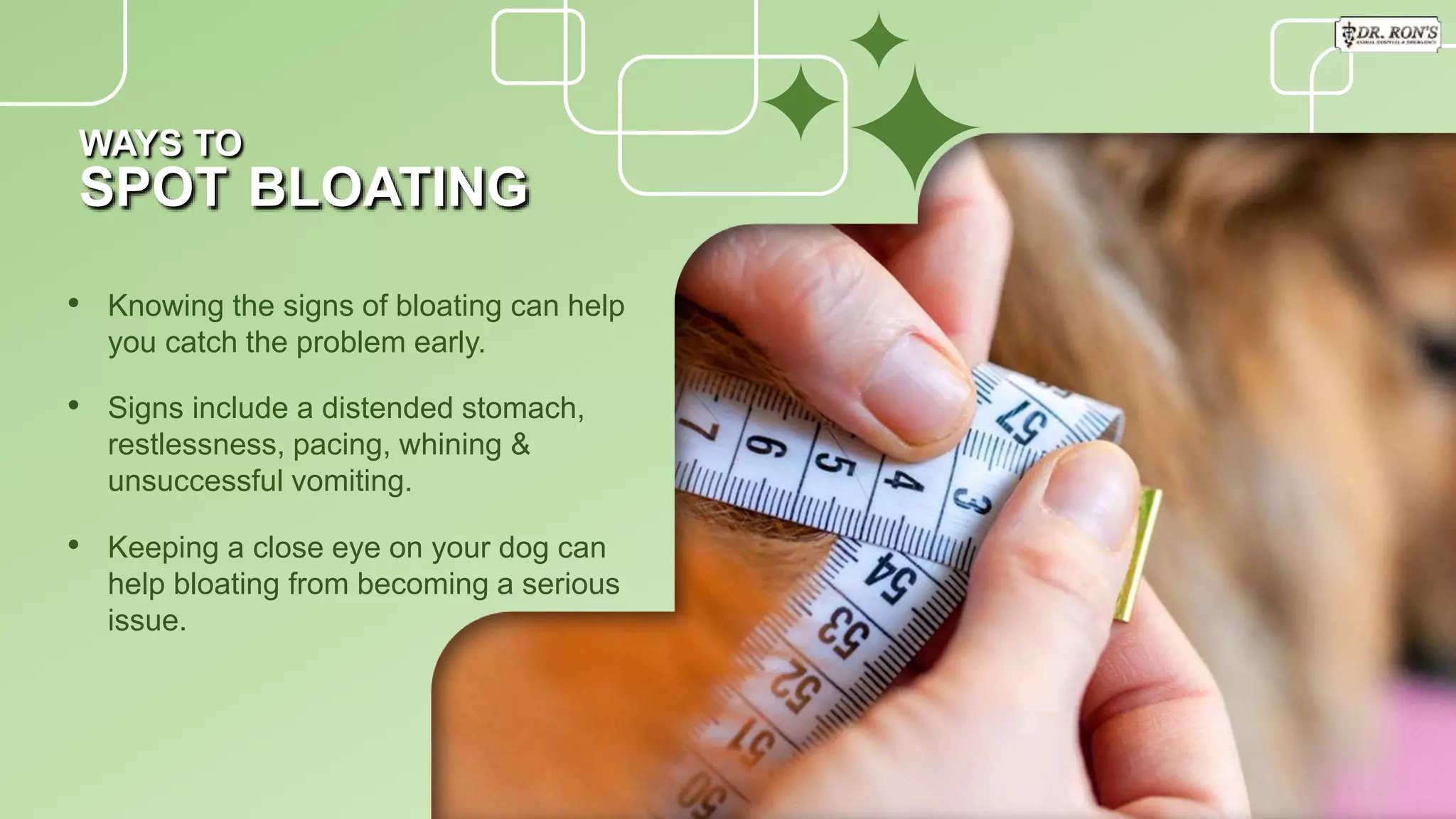 Signs of Bloating in Dogs & Ways to Prevent it | PPTX | Digestive ...