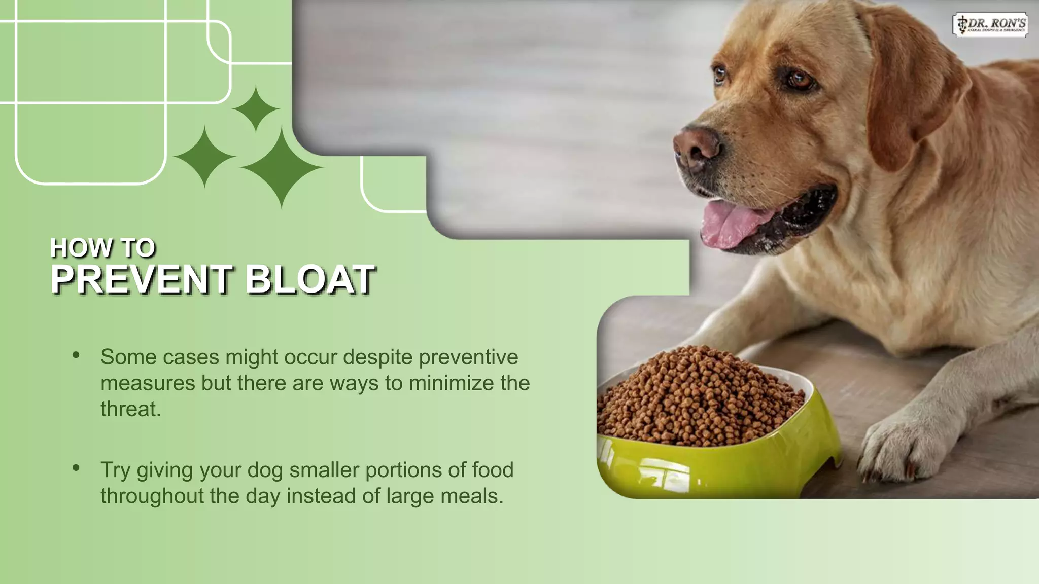 Signs of Bloating in Dogs & Ways to Prevent it | PPTX | Digestive ...