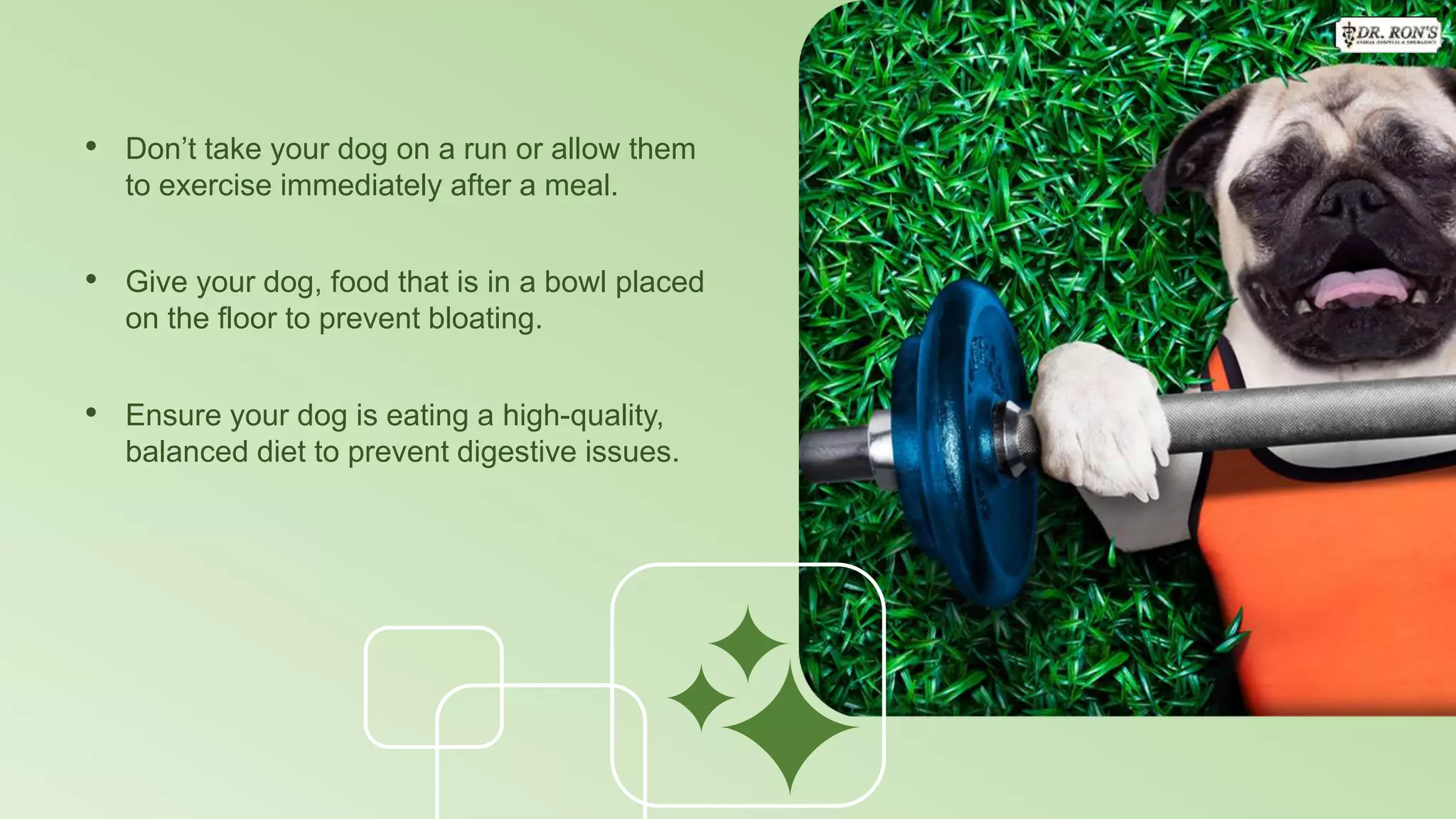 Signs of Bloating in Dogs & Ways to Prevent it | PPTX | Digestive ...