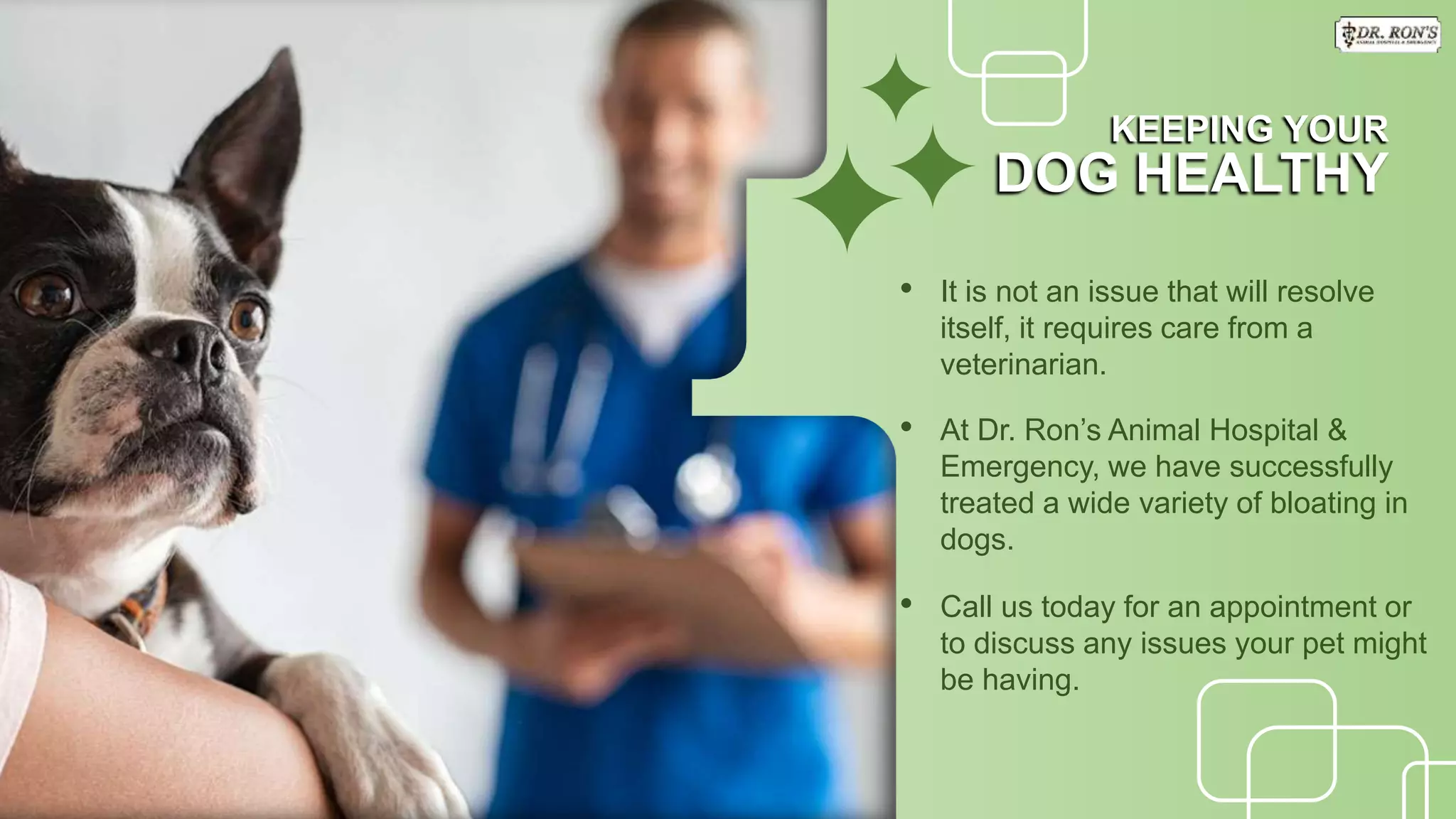 Signs of Bloating in Dogs & Ways to Prevent it | PPTX | Digestive ...