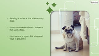 Signs of Bloating in Dogs & Ways to Prevent it | PPTX