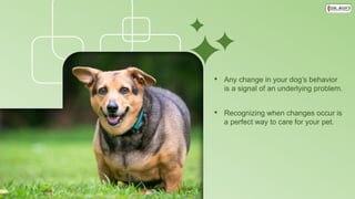 Signs of Bloating in Dogs & Ways to Prevent it | PPTX