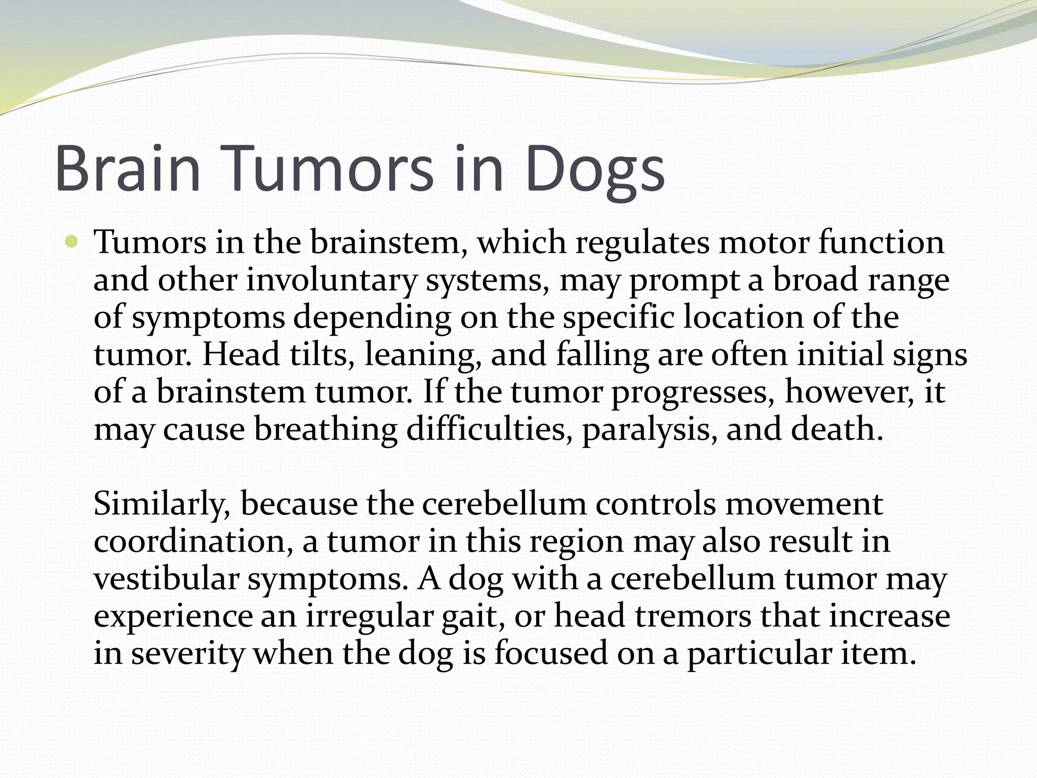 Signs of Brain Tumors in Dogs | PPTX