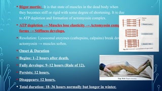 signs of death - I.pptx from reddy and biswas | PPTX