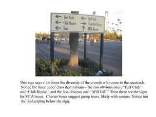 Signs of racing | PPTX