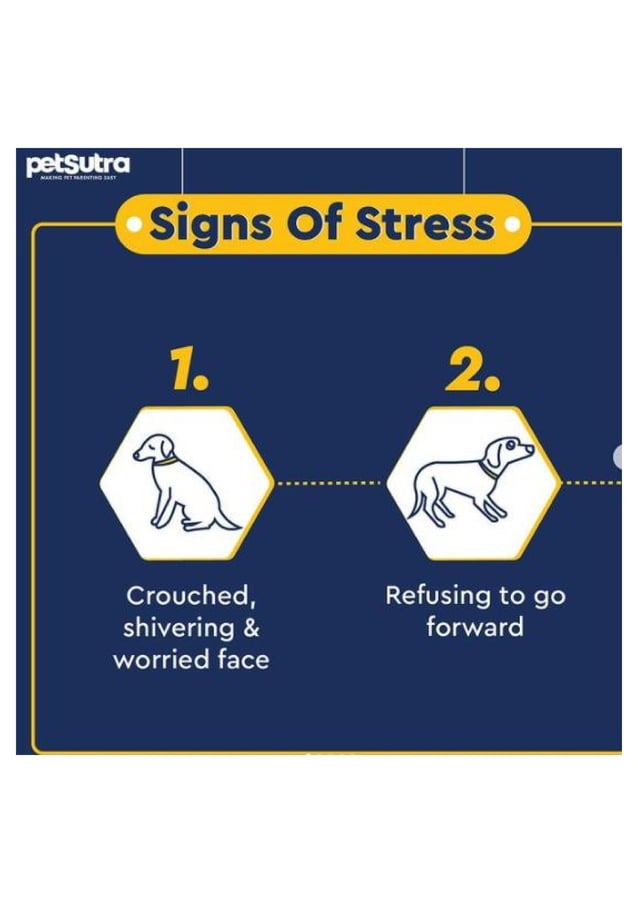 Sings of Stress in Dogs - PetSutra | PDF