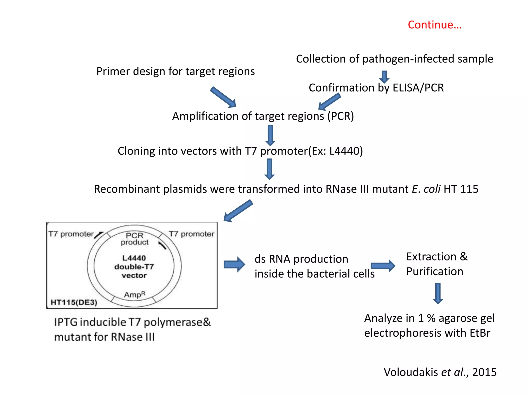 SIGS-A potential biopesticide strategy in Plant Disease Management.pptx