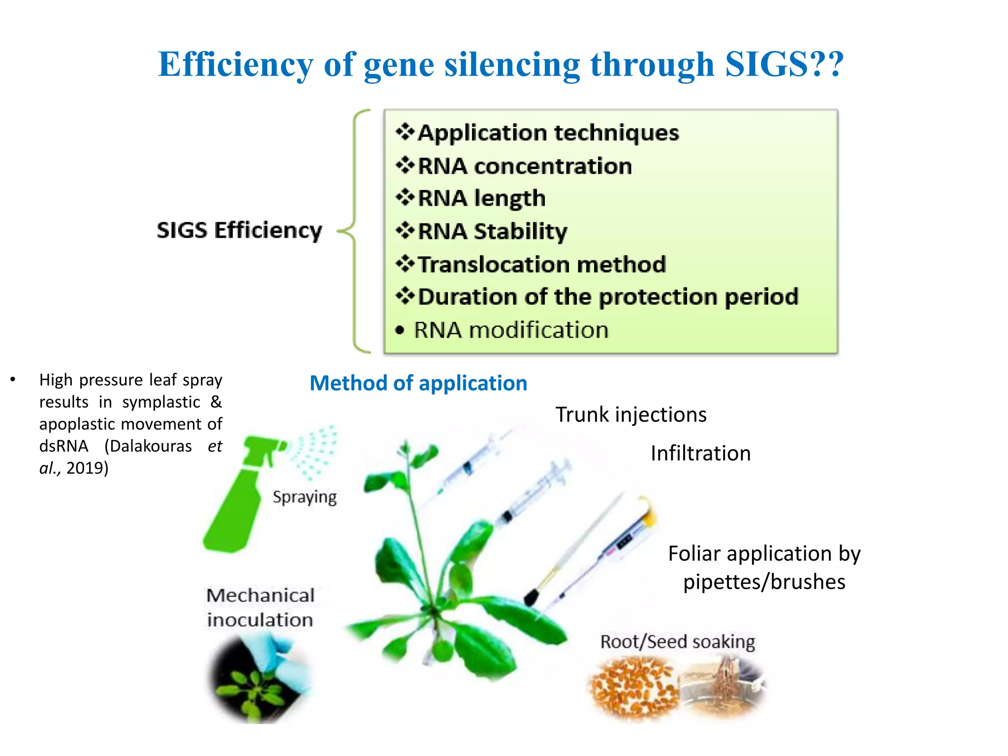SIGS-A potential biopesticide strategy in Plant Disease Management.pptx