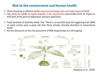 SIGS-A potential biopesticide strategy in Plant Disease Management.pptx