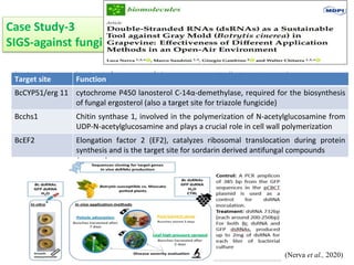 SIGS-A potential biopesticide strategy in Plant Disease Management.pptx