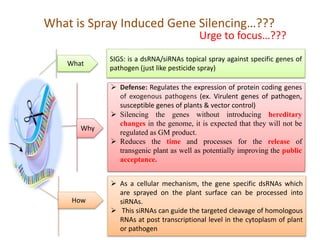 SIGS-A potential biopesticide strategy in Plant Disease Management.pptx