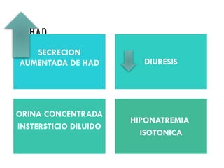 SIHAD.CARACTERISTICAS GENERALES DE LA NEFRNApptx | PPTX