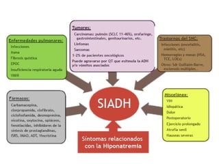 SIHAD.CARACTERISTICAS GENERALES DE LA NEFRNApptx | PPTX