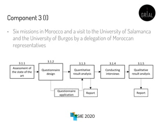 Morocco Higher Education System – VRIMCA