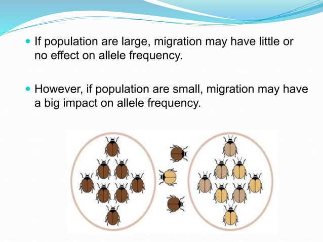 Allelic frequency | PPT