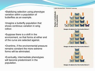 Allelic frequency | PPTX