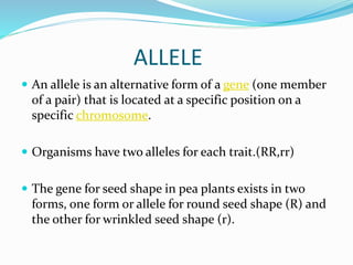 Allele Frequency Definition