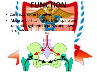 Si joint dysfunction | PPT