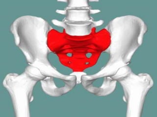 Si joint dysfunction | PPT