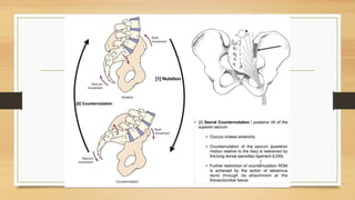 Spine_ Management of Si Joint Dysfunction | PPTX