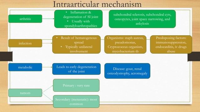 Spine_ Management of Si Joint Dysfunction | PPTX | Physical Therapy ...