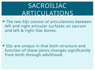 SI (Sacroiliac) Joint & Pelvic Complex Biomechanics | PPTX